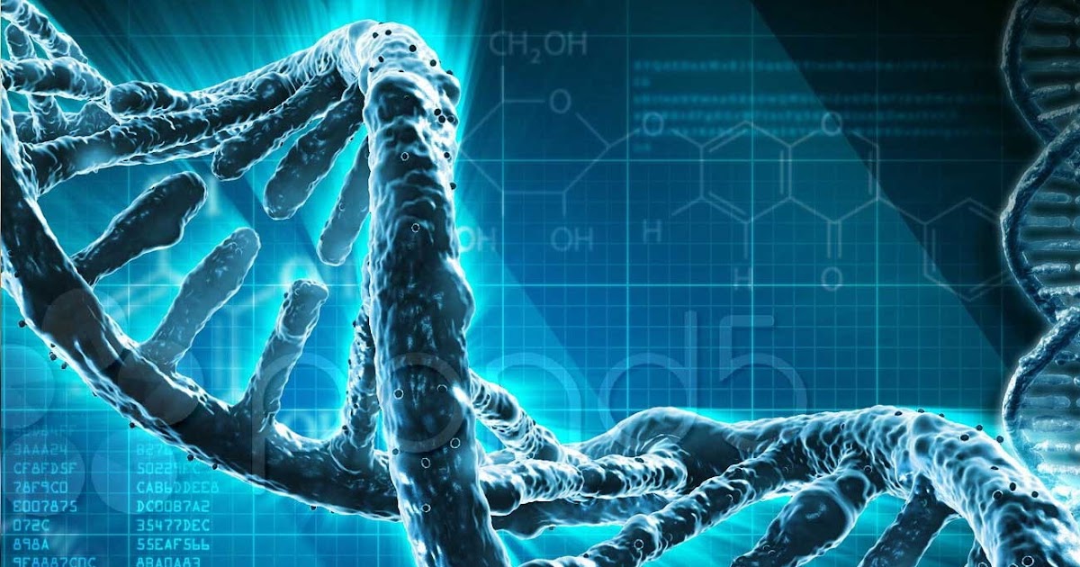 UNA MUTACIÓN EN LA EVOLUCIÓN BIOLÓGICA DE LOS ANIMALES EXPLICARÍA EL ...