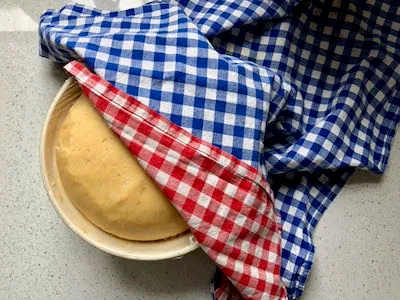 Pandoro - Italian Sweet Christmas Bread - Blueberries and Thyme