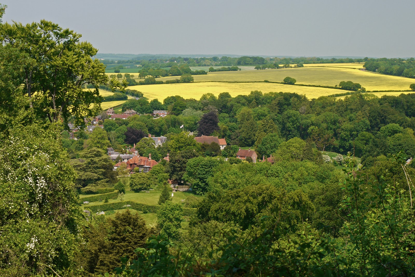 Walking in the country: Selborne and Noar Hill