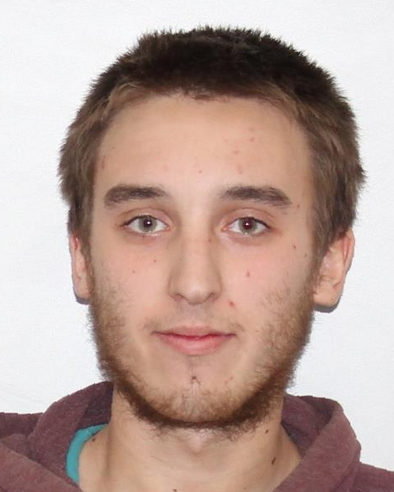 Wellsville Regional News (dot) com: Andover man receives probation in ...