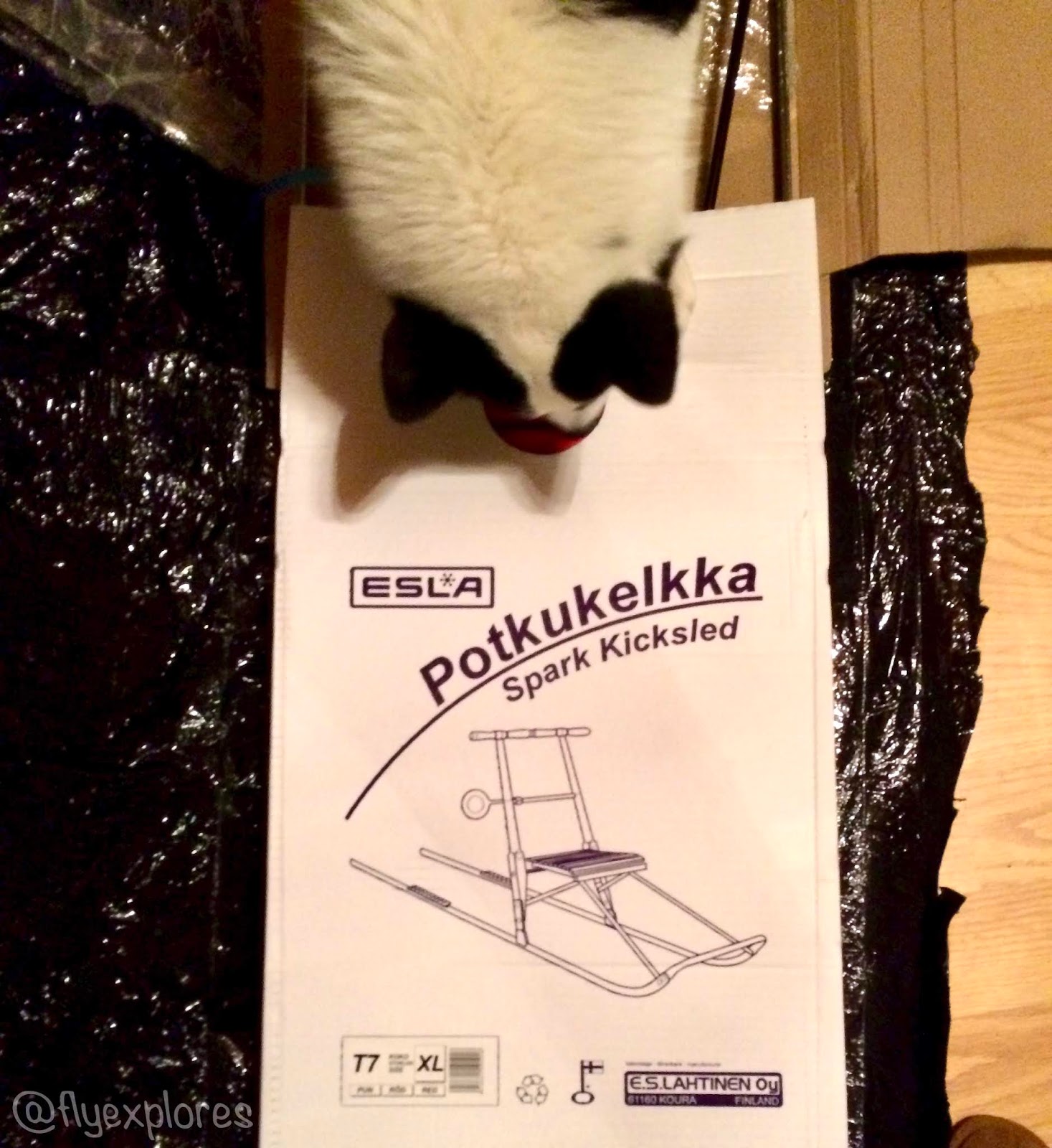 Fly Explores: We Bought a Kicksled!