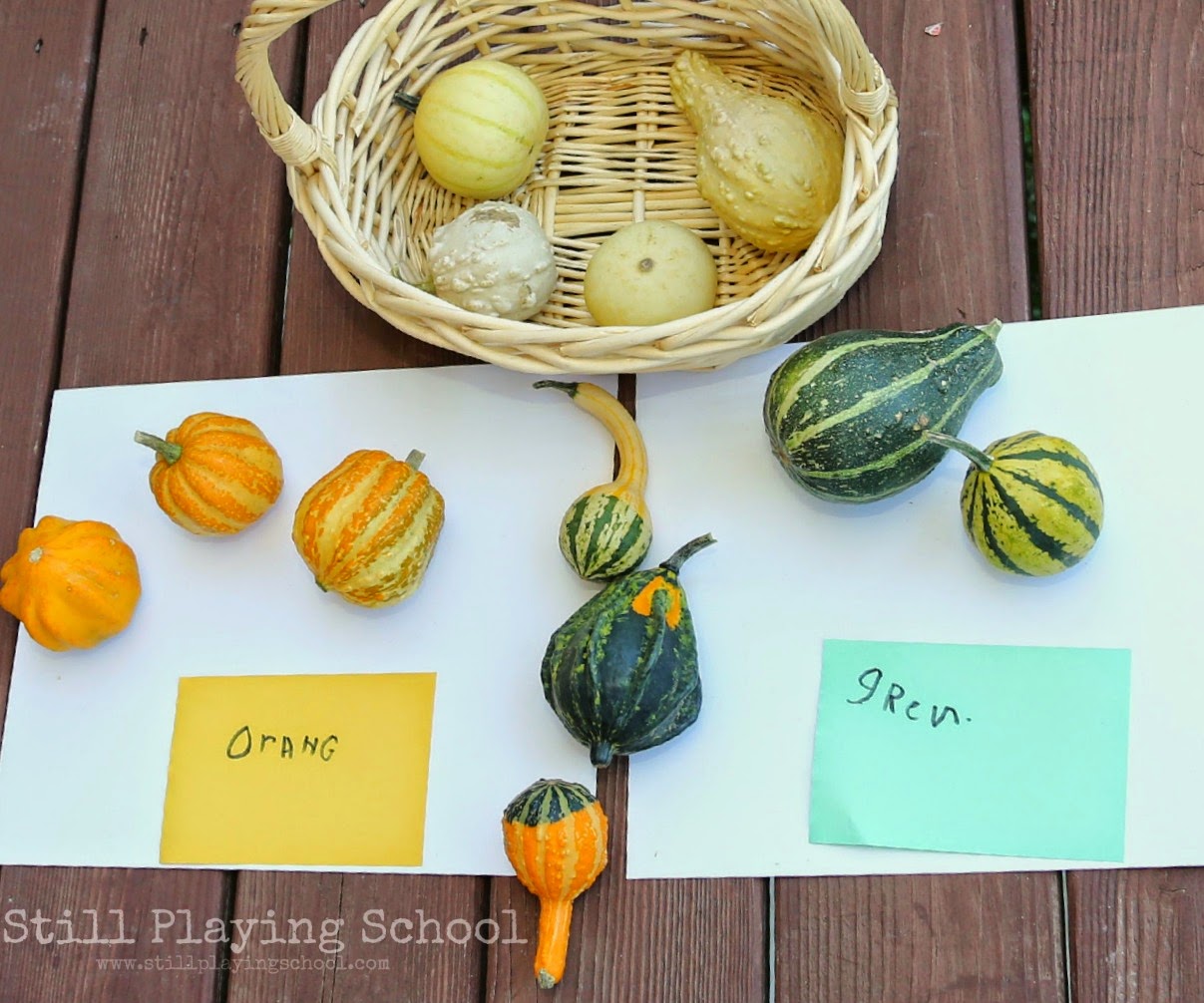Learning with Gourds: Comparing, Sorting, and Labeling for Fall | Still ...