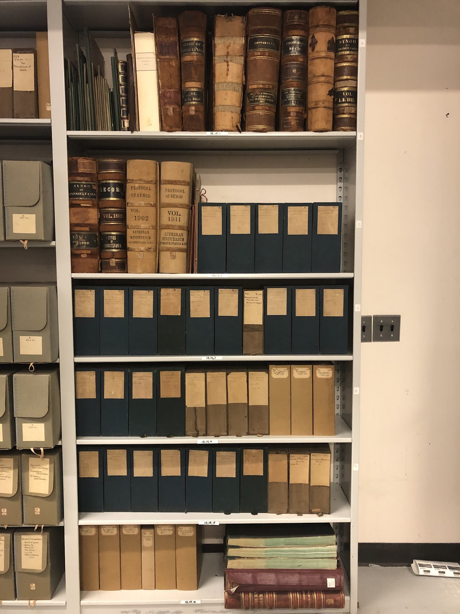 What Does a Project Archivist Do? | Meet Melissa Bergoffen