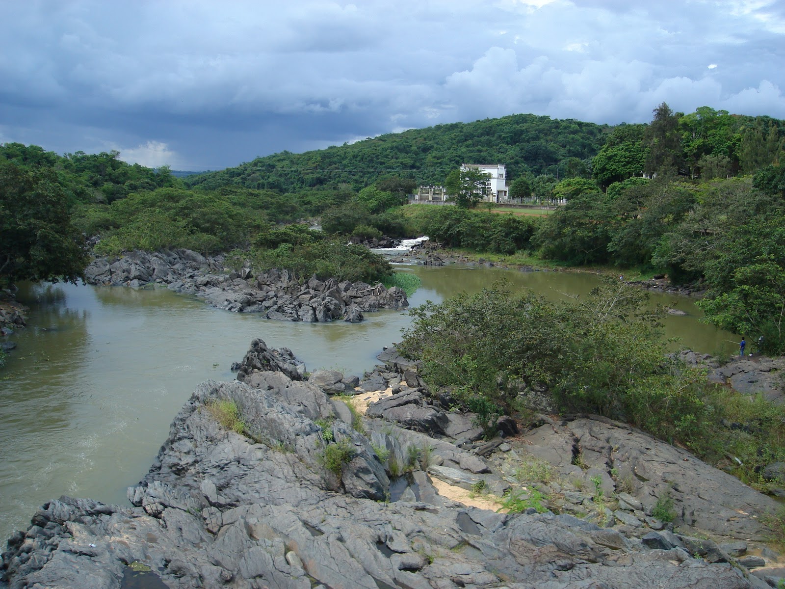 Library Wallpapers: Best Pará River-Brazil