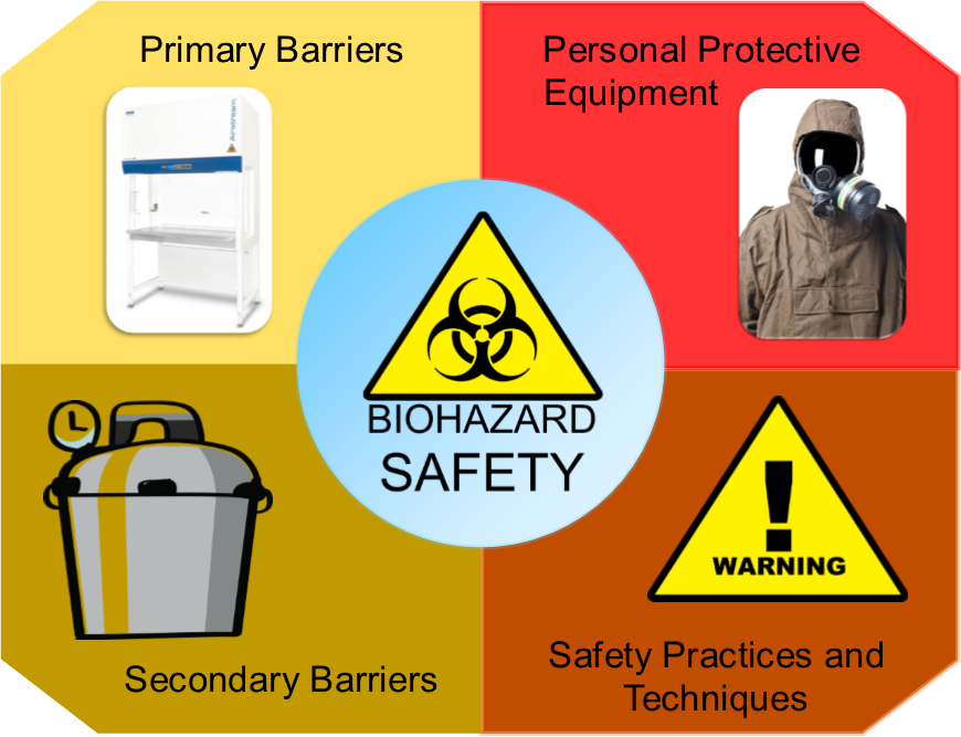 Let's talk about biosafety.: August 2015