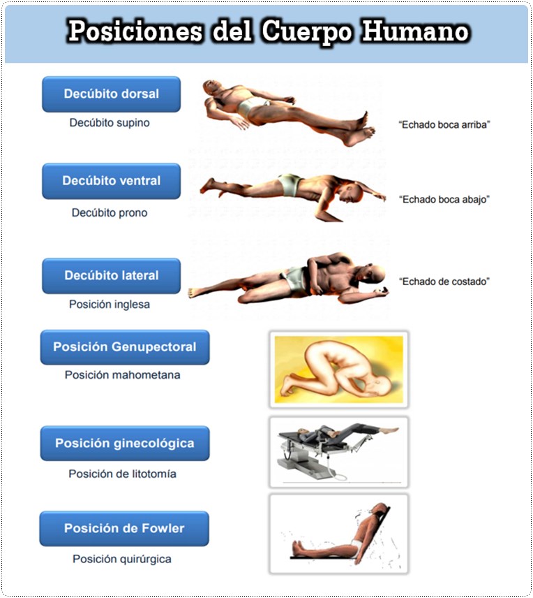 Posiciones del Cuerpo Humano