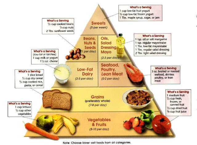 Weight Loss Using the Food Pyramid?