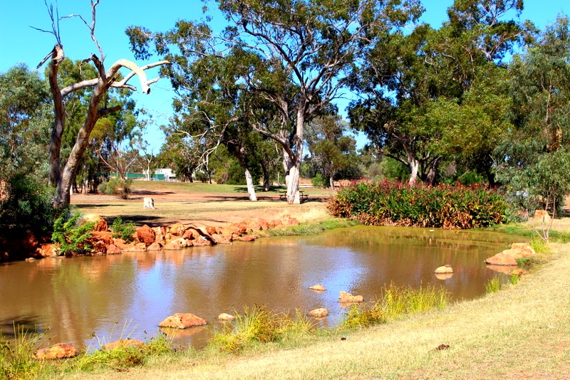 Travelling Around Australia: White Cliffs Outback NSW to Charleville ...