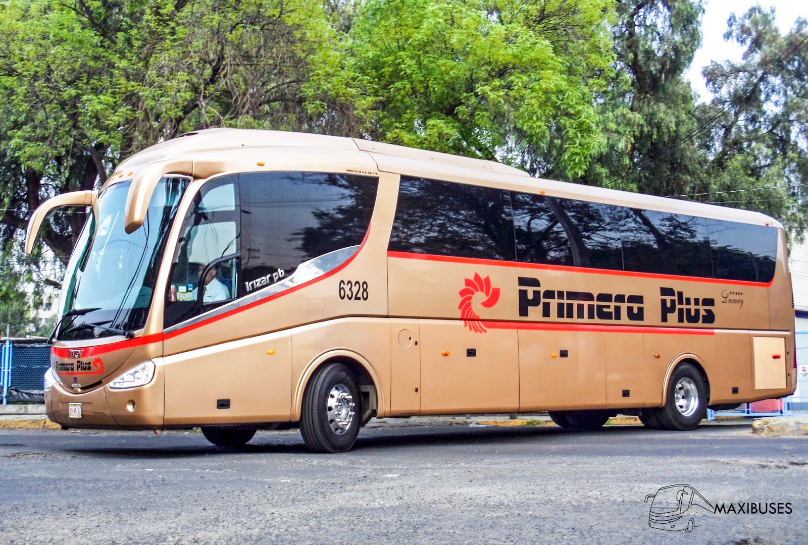 MAXIBUSES: PRIMERA PLUS