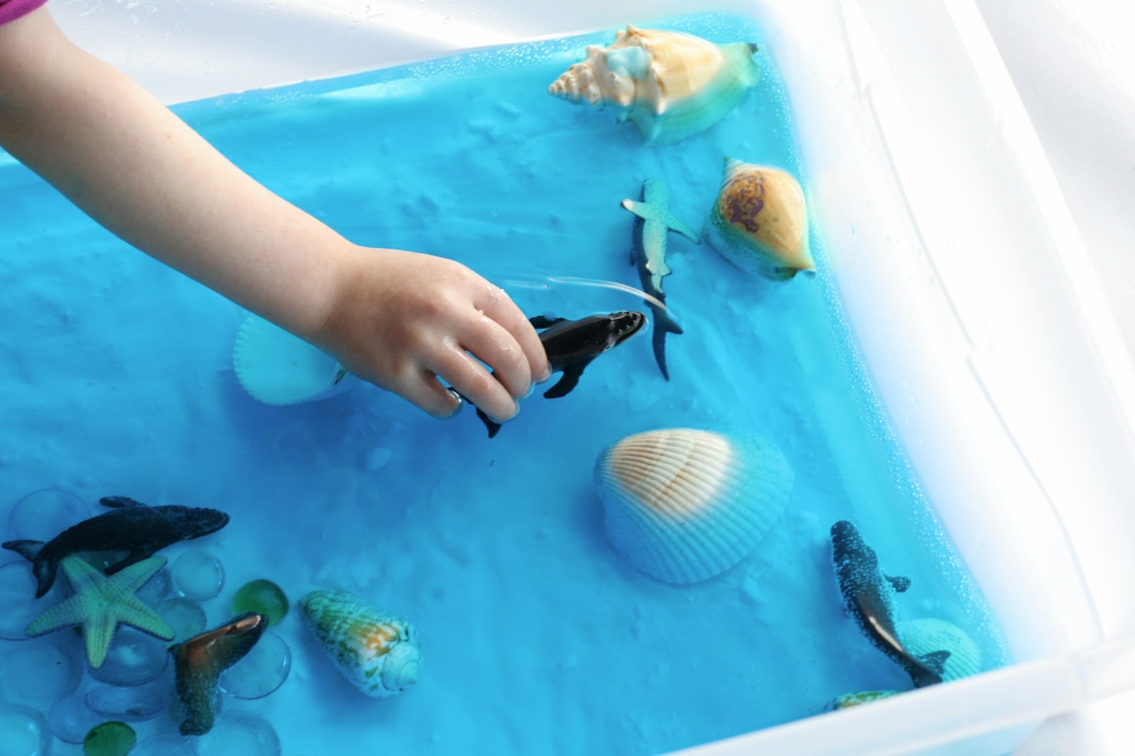 Simple Small Worlds: Fizzing Hidden Ocean World