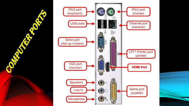 Types and Functions of PORTS and CABLES