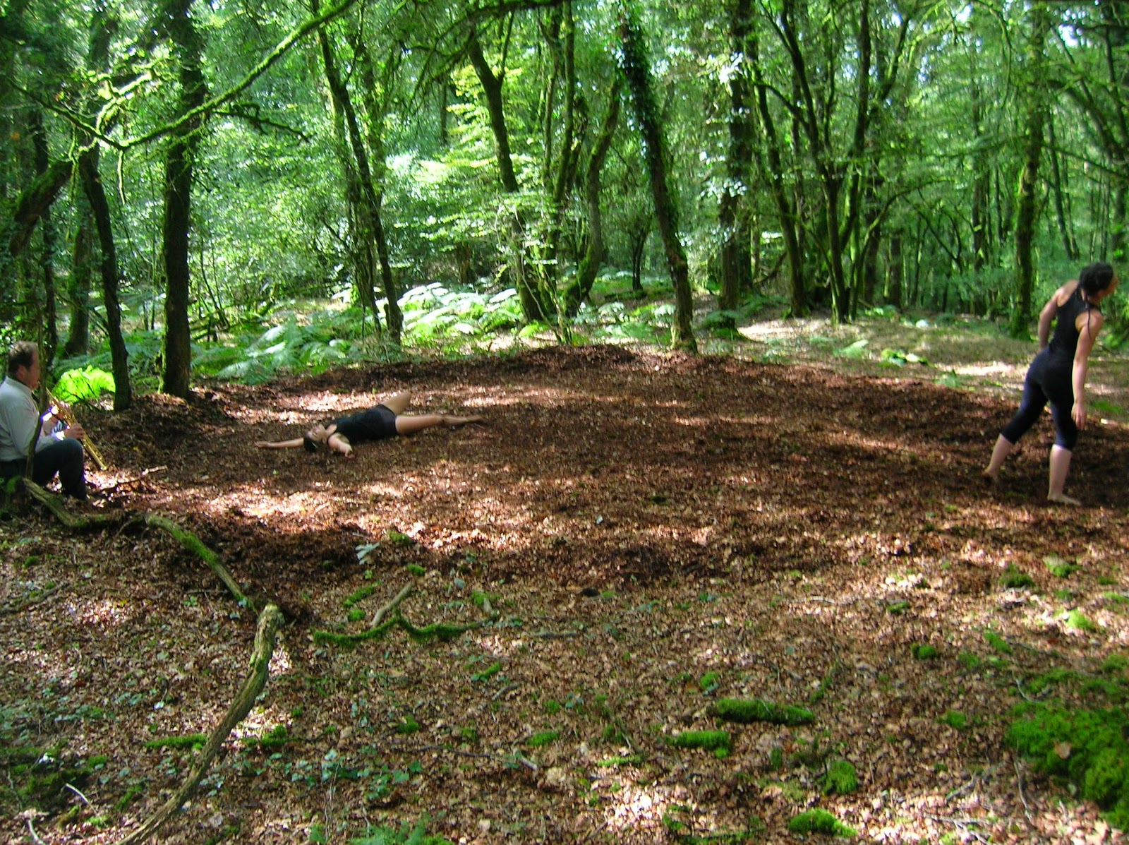 Rosquelfen: Festival Fisel