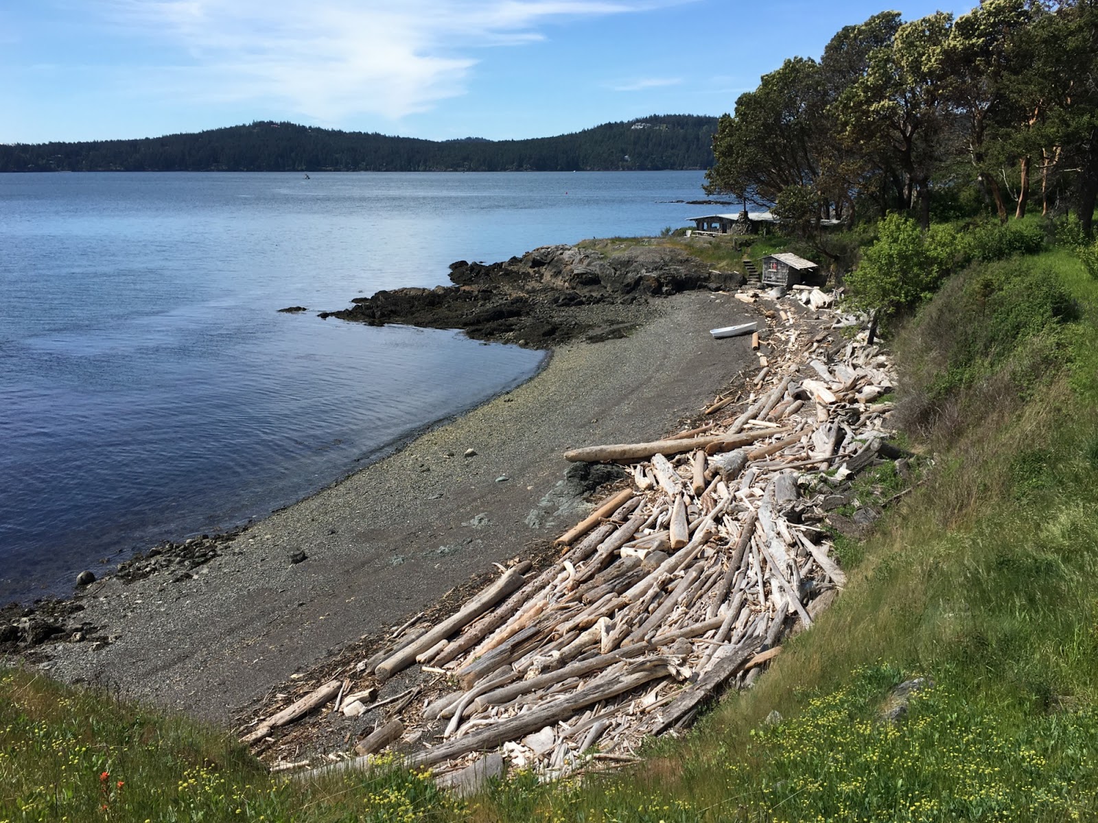 Gravel Beach: Yellow Island