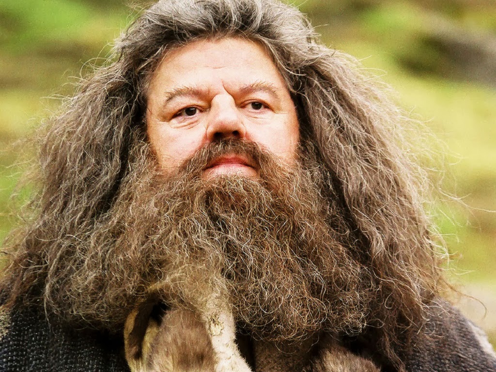 Harry Potter - O Guia: Saiba tudo sobre: Rúbeo Hagrid