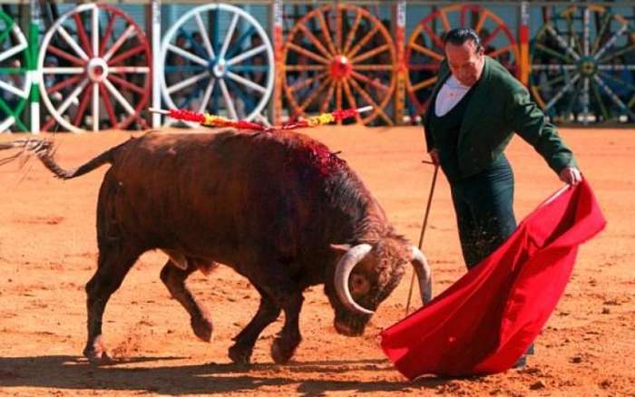 plaza de toros: Curro Romero, veinte años de su adiós en La Algaba