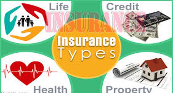 Types Of Insurance
