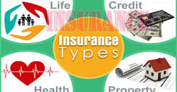 Types Of Insurance