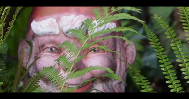 The Paranormal: American Cryptid: Evil Gnomes