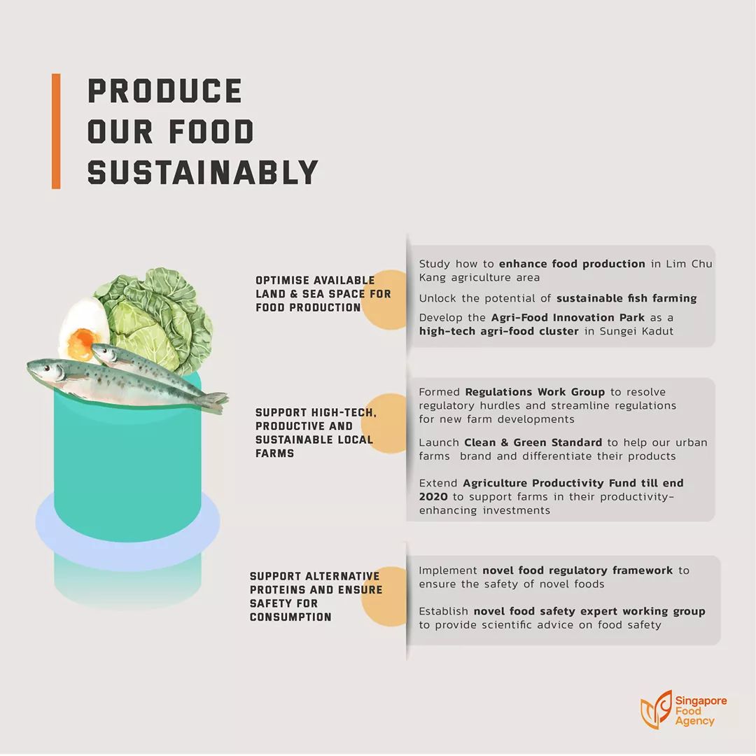 Geography: Food security in Singapore