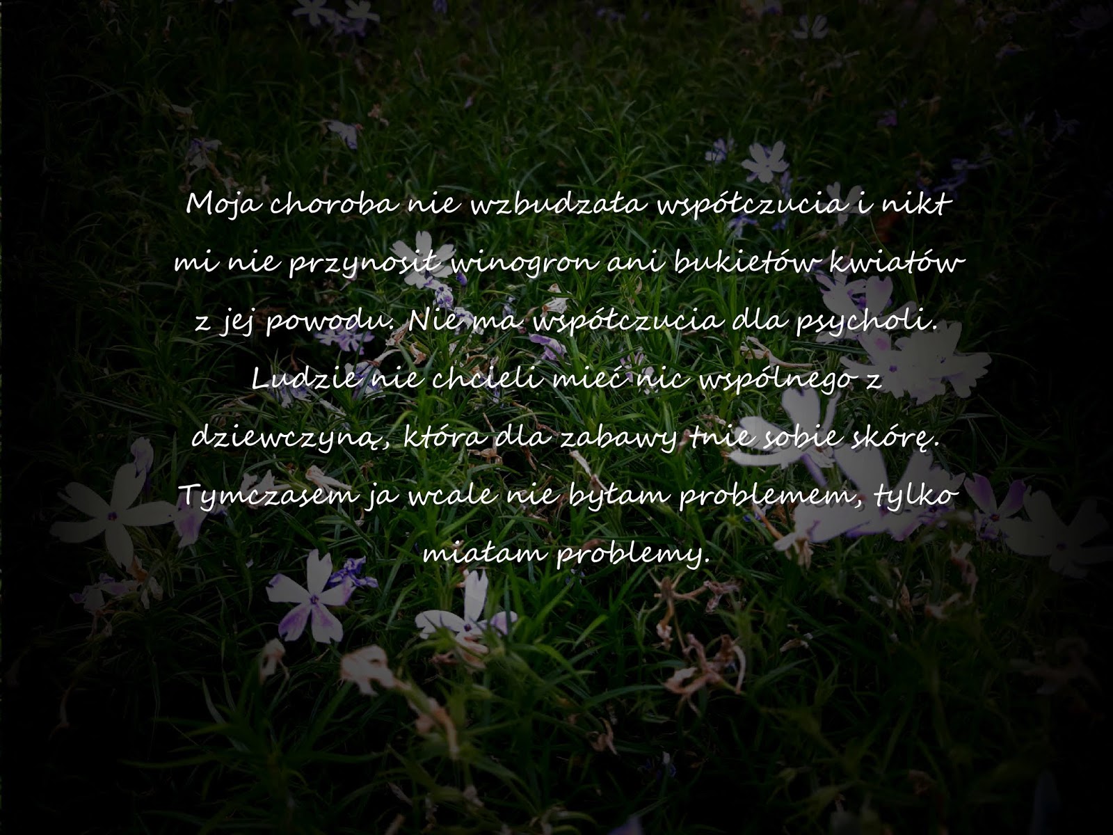 [PRZEDPREMIEROWO] "W skali od 1 do 10" Ceylan Scott *Natalia* | Ogród ...