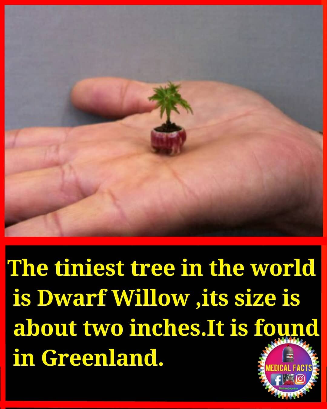 [30+] Amazing Facts About Human and Its Body