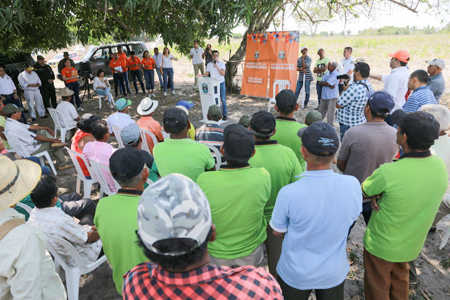 EN PIVIJAY, LA GOBERNACIÓN IMPULSA MODELOS PRODUCTVOS SOSTENIBLES - [ar ...