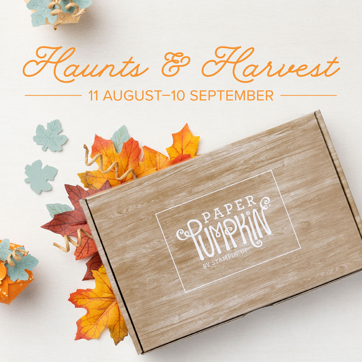 Inspired Stamping by Janey Backer: Paper Pumpkin Possibilities Hope Box