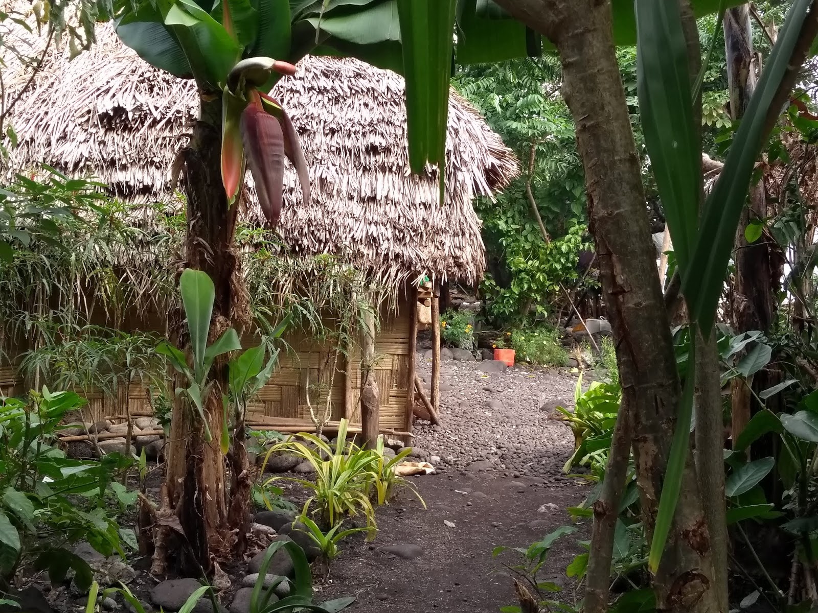 Afloat on a Boat: 20/7/2019: Dillon's Bay, Erromango, Vanuatu
