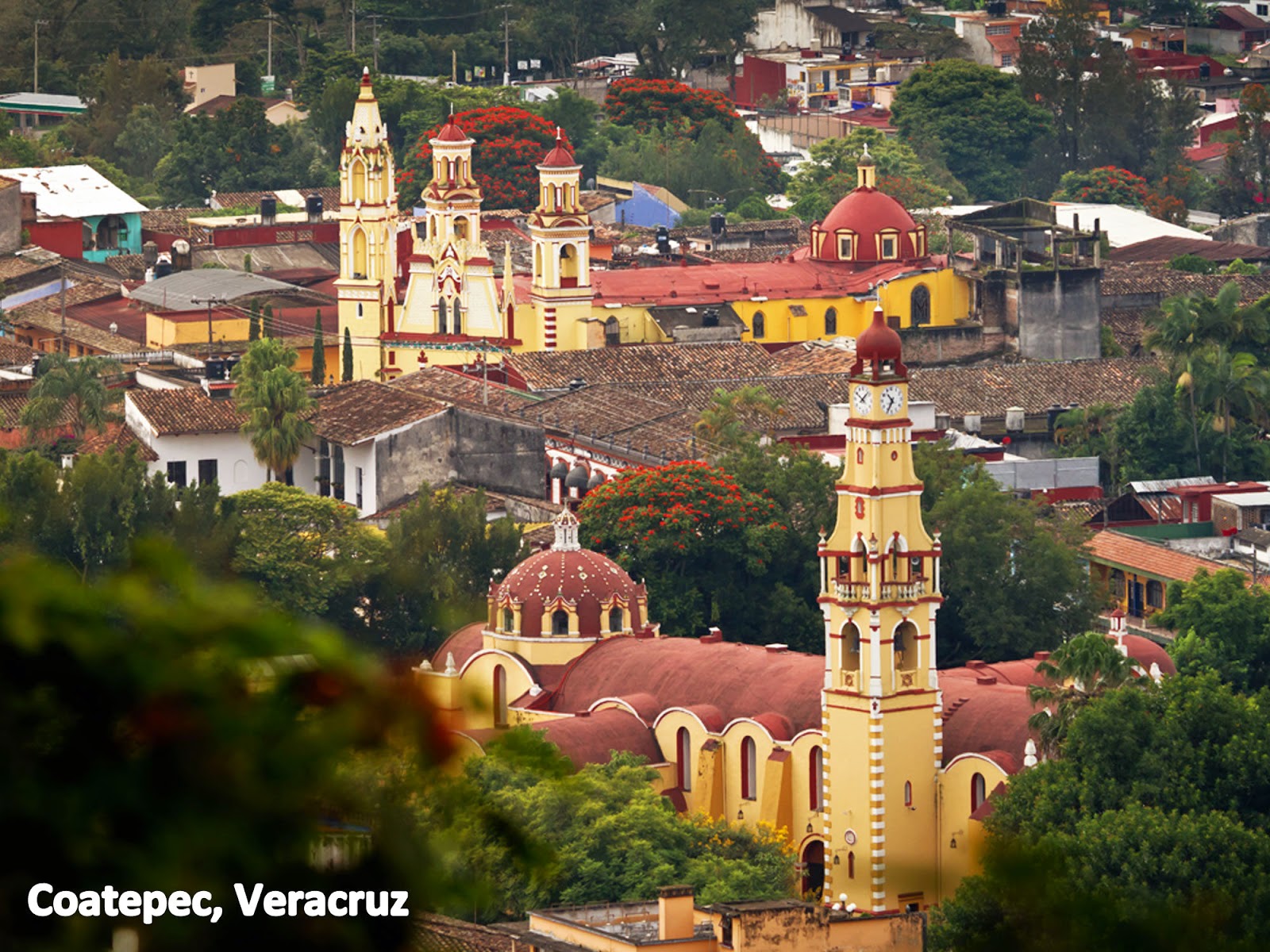 Coatepec, Veracruz