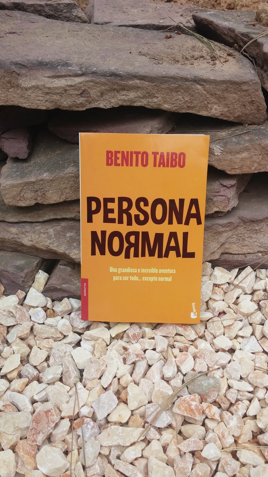 La Estación de Libros: RESEÑA | PERSONA NORMAL DE BENITO TAIBO