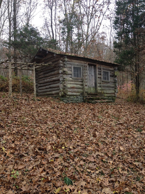 Writing Cabin: At the Writing Cabin