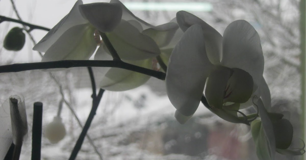 Blog of (former?) MySQL Entomologist: Linux /proc Filesystem for MySQL DBAs - Part I, Basics