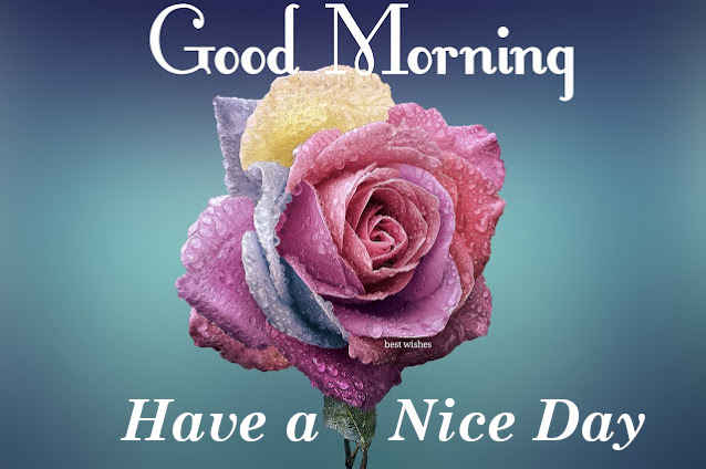 Top 10 Nice Good Morning Wishes.Images greeting Pictures,Photos for ...