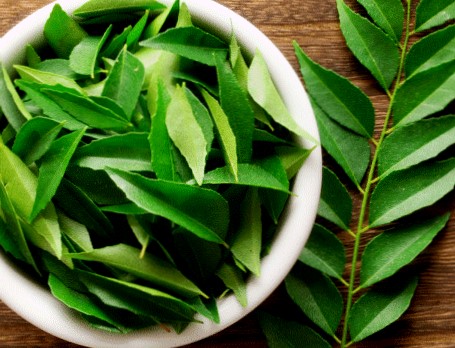 BENEFITS OF INDIAN SWEET NEEM ''CURRY LEAVES''