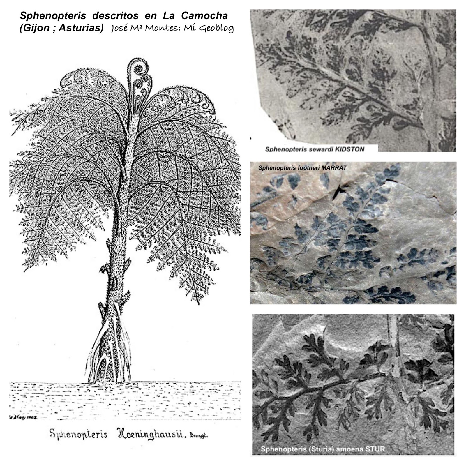 Mi Geoblog: Geologia y más: LA MINA DE LA CAMOCHA (GIJON)