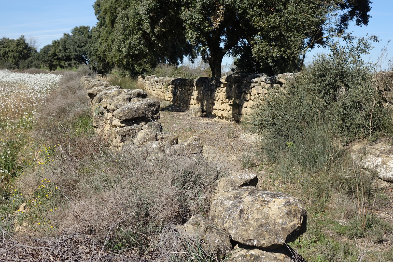 QUINA LA FEM?: [2289] La via romana d'Ilerda cap a Osca