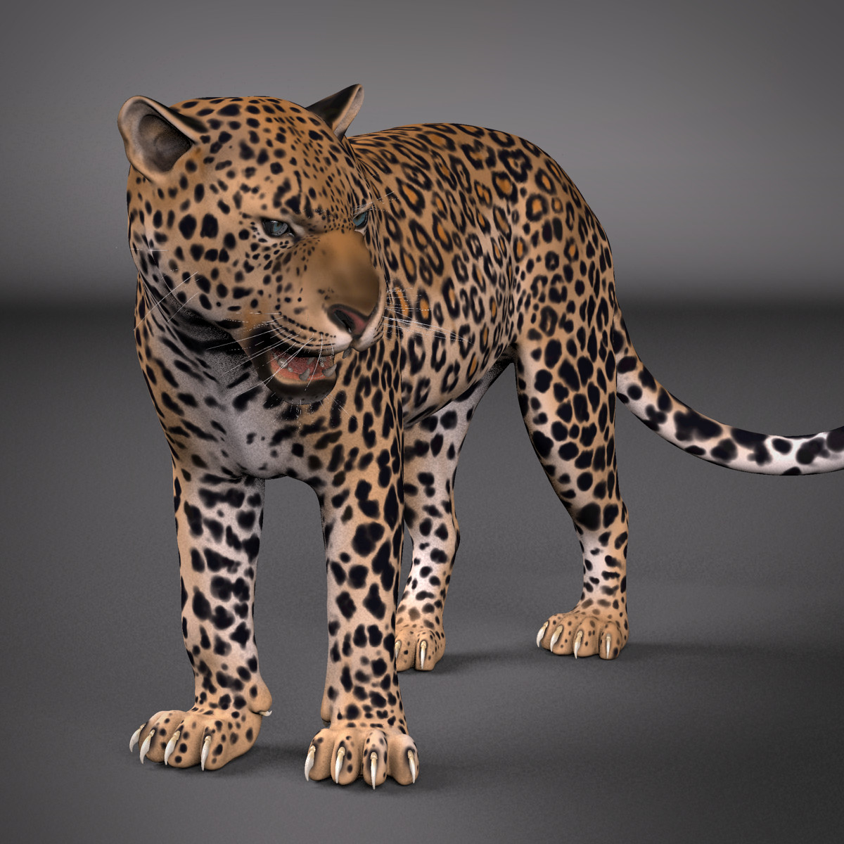 Animation Blog: Leopard Animation by Alex Southcombe