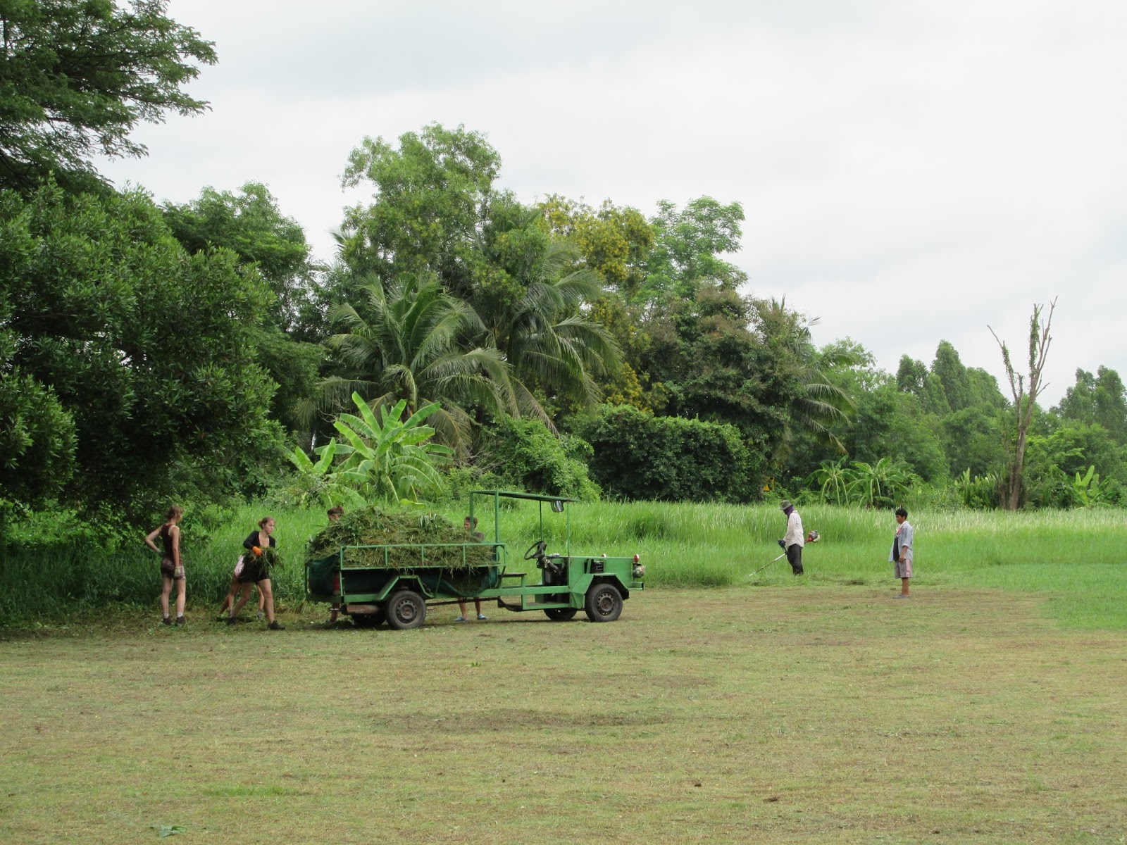 Met z'n 6 naar Victory Tree in Thailand