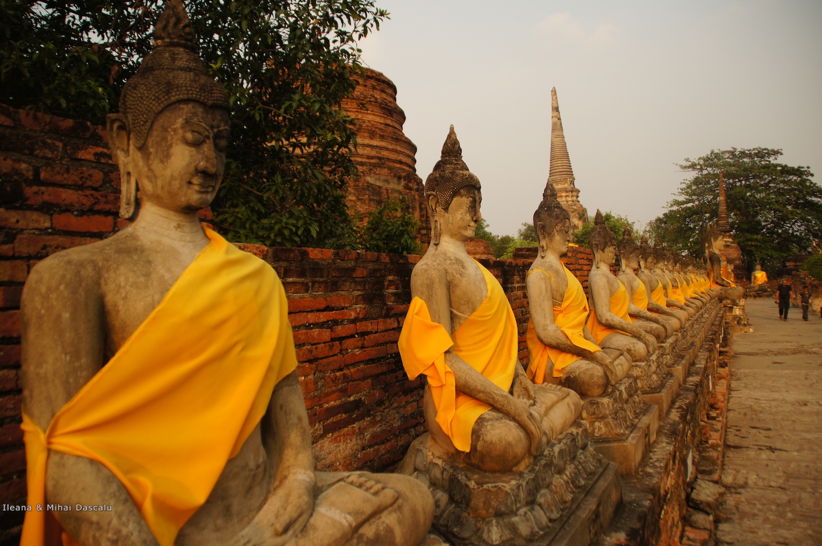 Noi6 Around-the-World: The Land of Siam