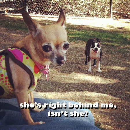 bailey unleashed .com: ww: she's standing right behind me, isn't she?