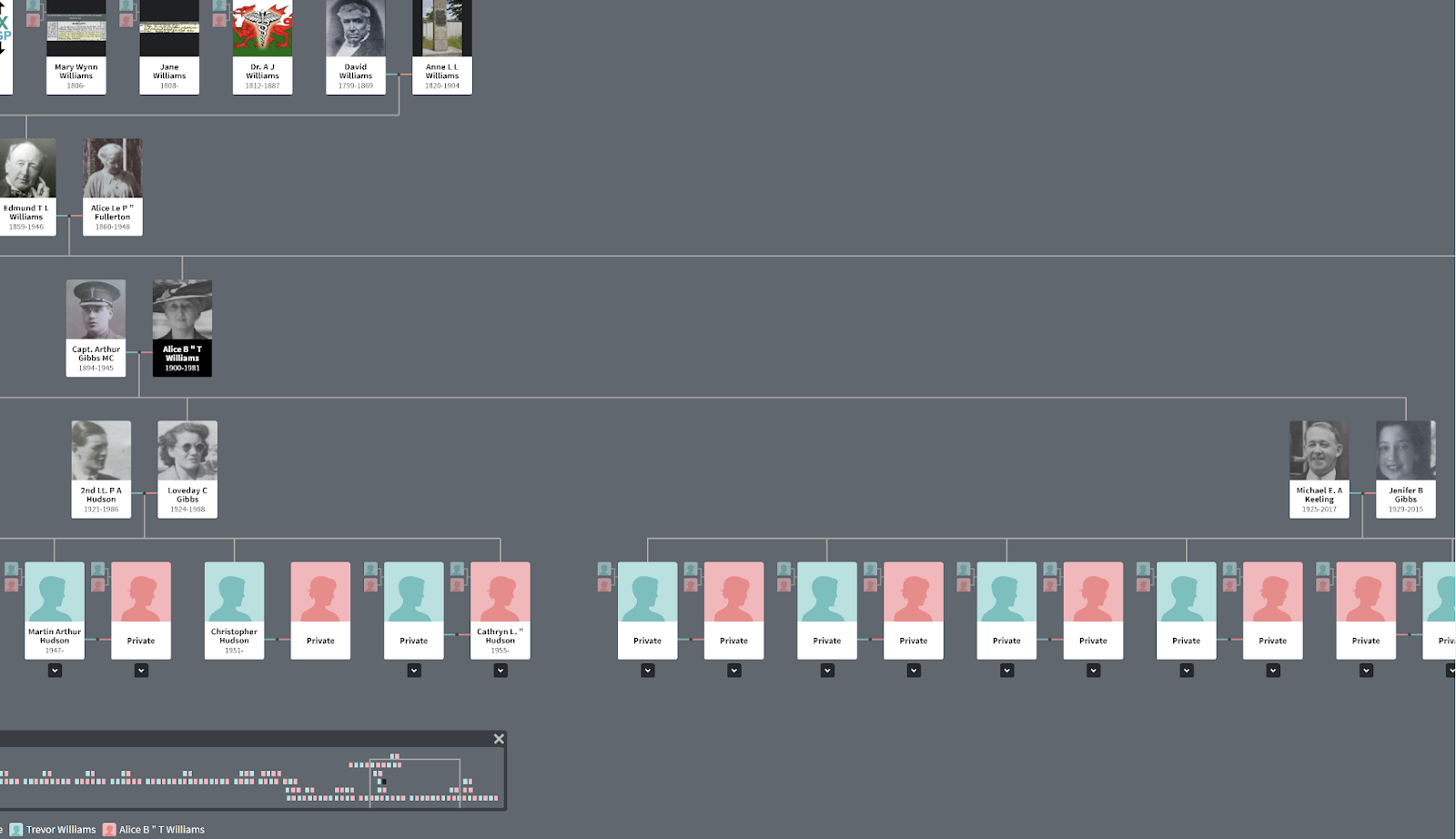 8 Keeling Brothers: Rachel Williams: Graves and Family tree