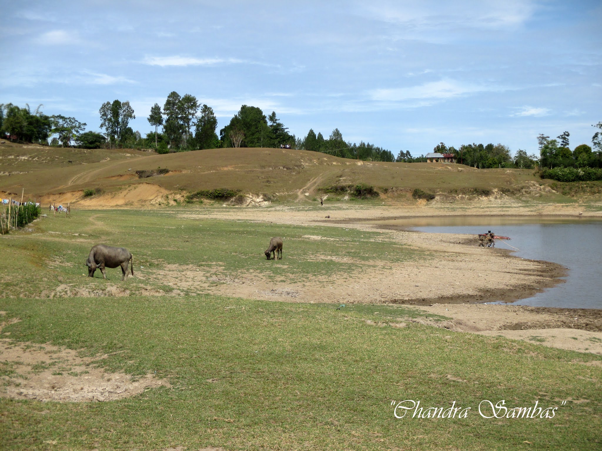 Danau Sidihoni, Danau di Atas Danau di Pulau Samosir | Backpacker Alam ...