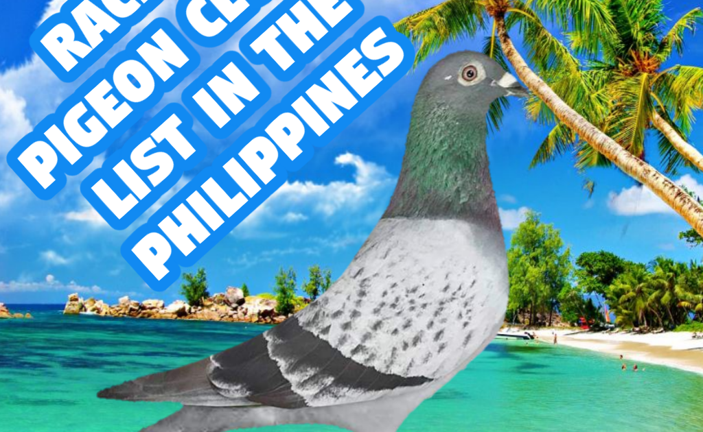 RACING PIGEON CLUBS LIST IN THE PHILIPPINES