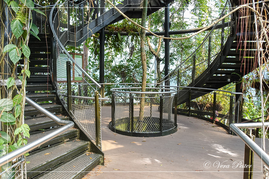 Artifactum ver@bilis Blog: Aussichtsturm # 7 Masoala-Halle