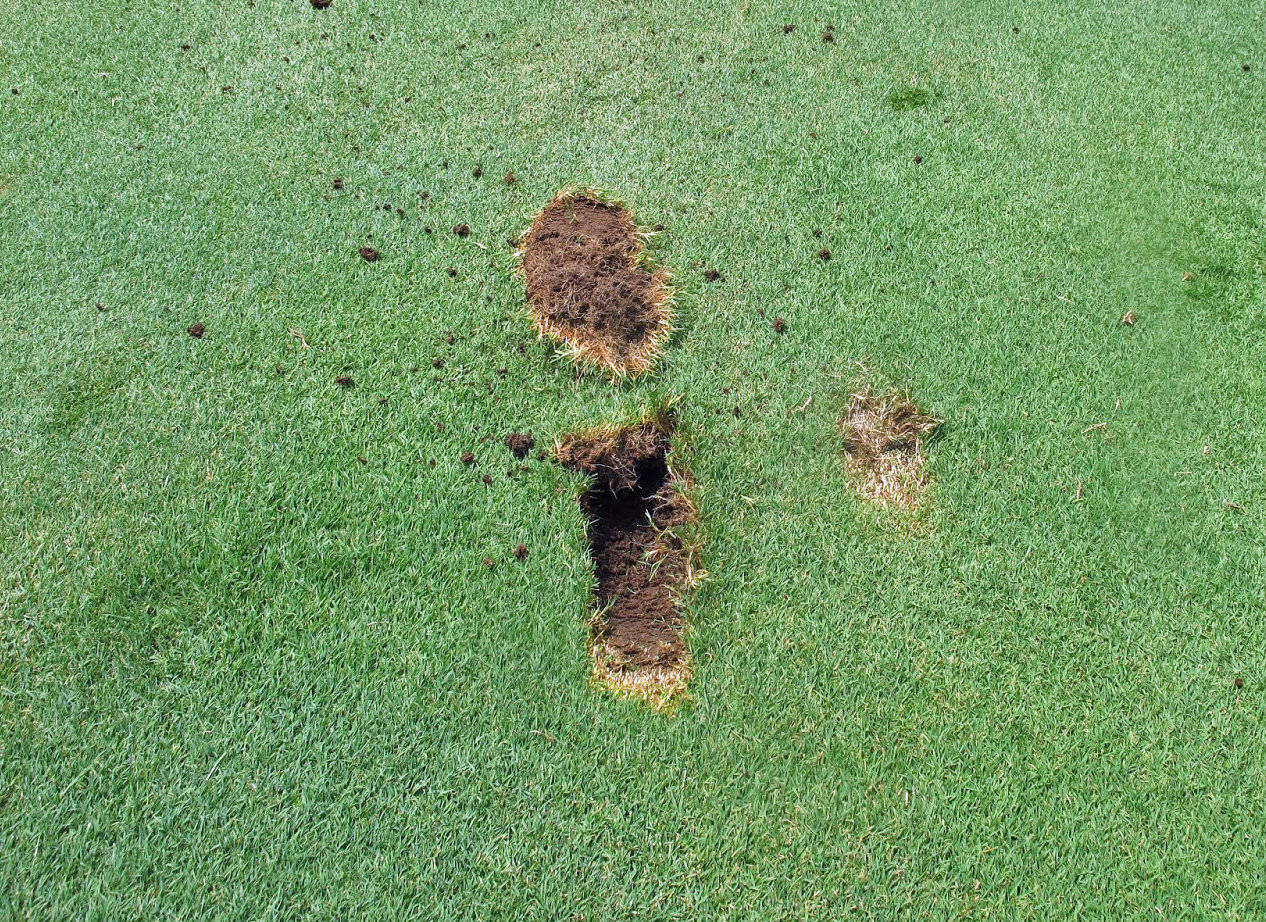 American Golfer: Poll Results: Replace or Sand Your Divot? Or Leave It ...