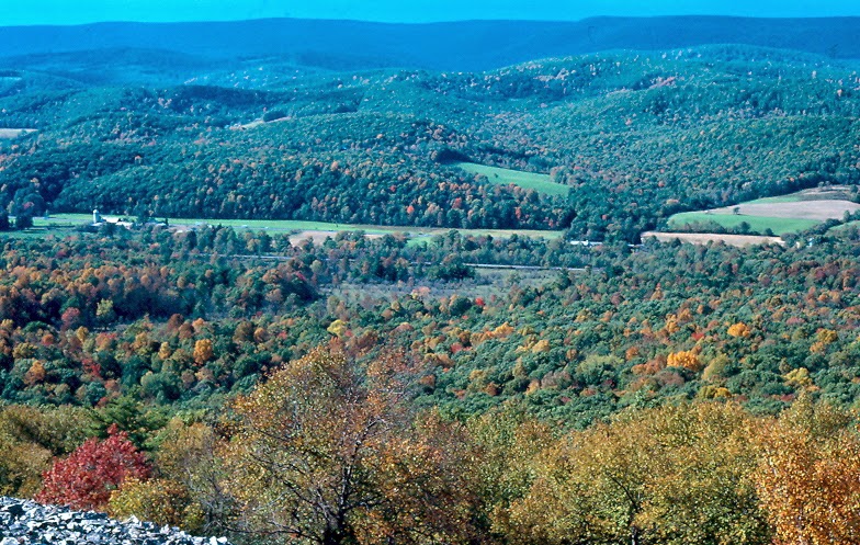 Central Pennsylvania Forestry: Foresters Guide the Conservation of ...