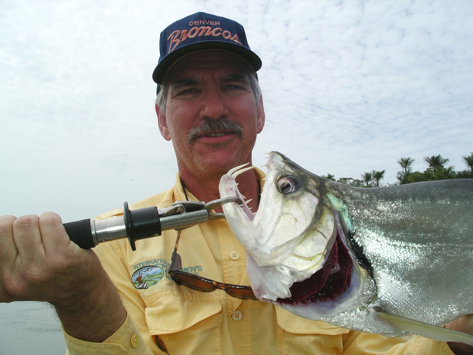 Fly Paper: Payara, the Famous Vampire Fish of the Amazon Basin