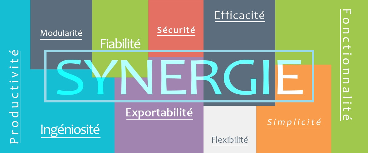 SYNERGIE : Logiciel de comptabilité - Le comptable marocain