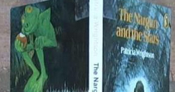 Kate Constable's Blog: The Nargun and the Stars