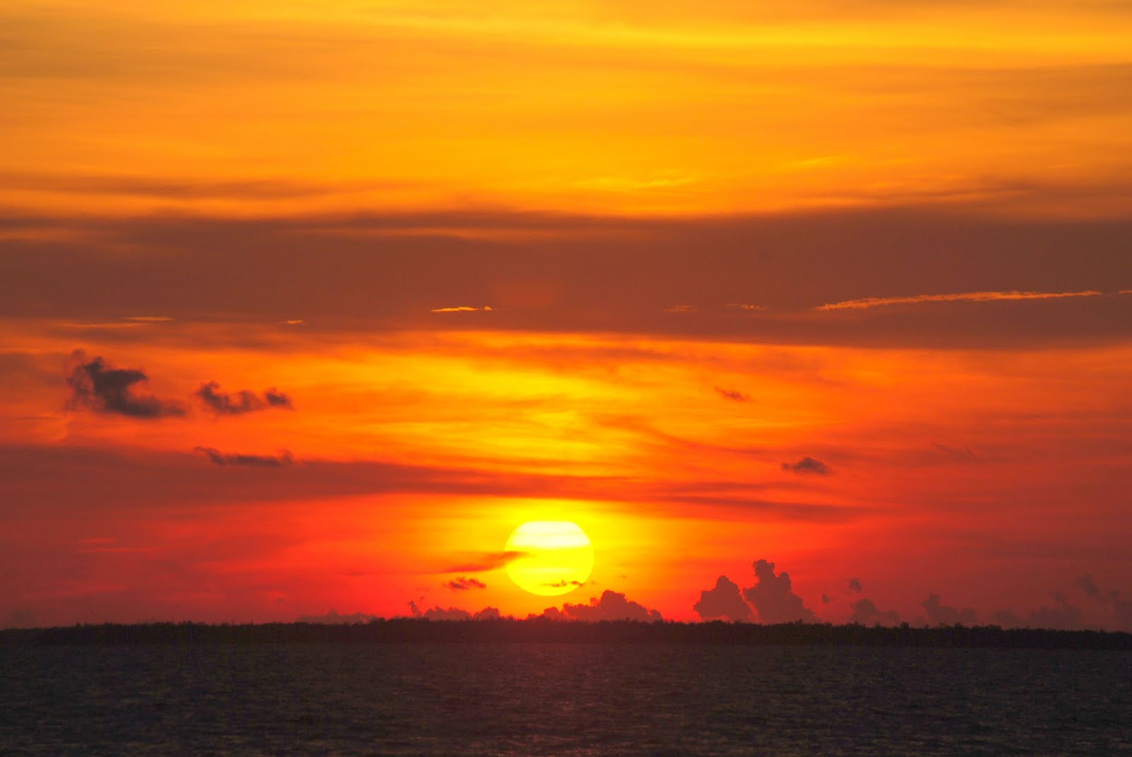 Field Notes and Photos: Florida Summer Sunset